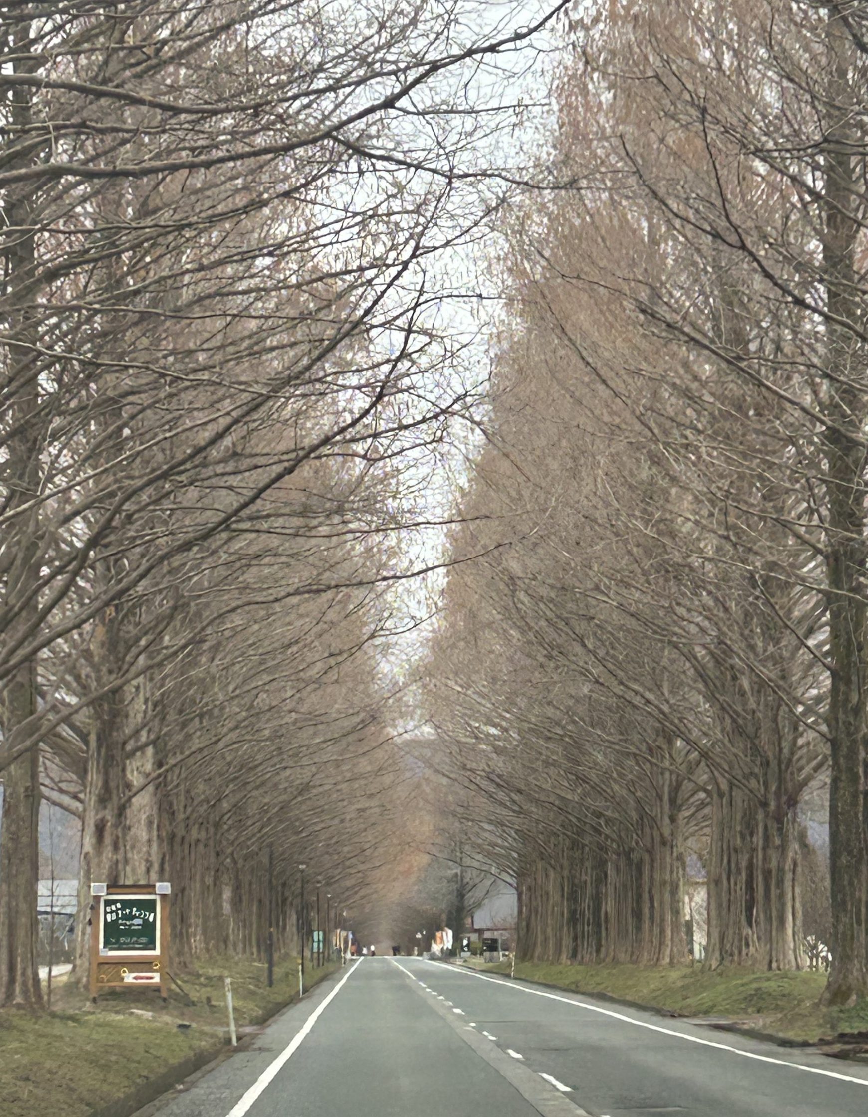 引きこもりで面倒くさがりがソロキャンプに行ってみた - Nakota公式blog